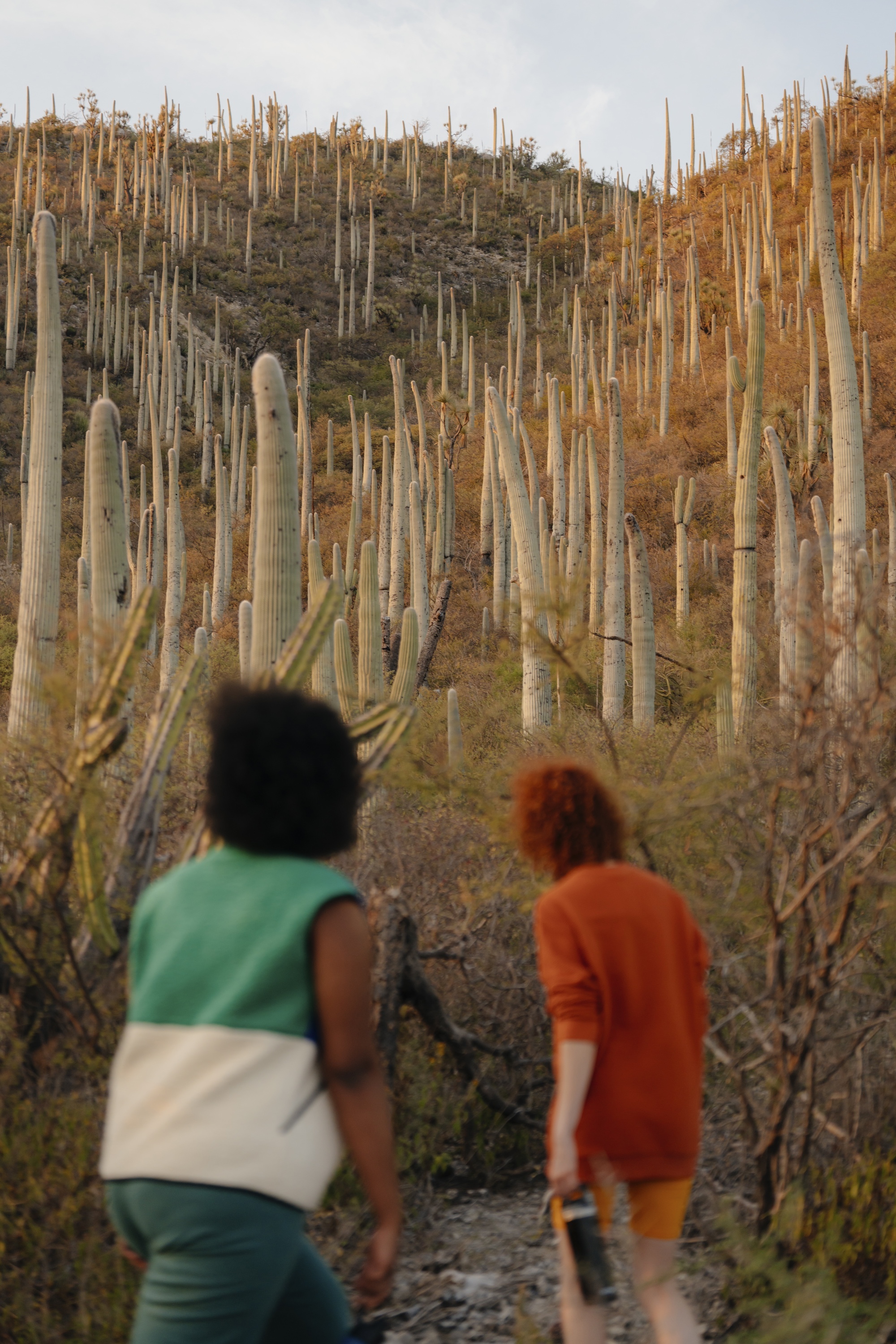 Ike Edeani — For Your Consideration