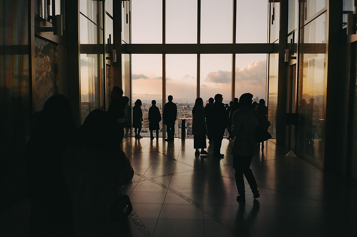 Nico Therin — For Your Consideration